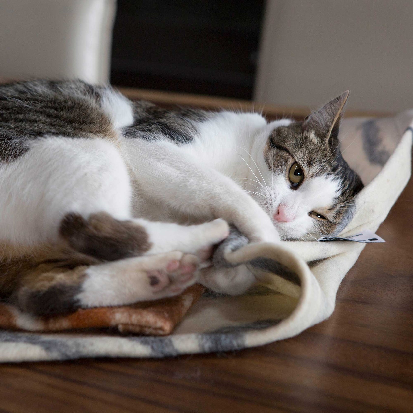 Wool Cat Mat | JG SWITZER – JG Switzer